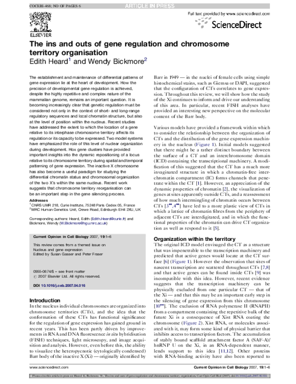 (PDF) The ins and outs of gene regulation and chromosome territory ...