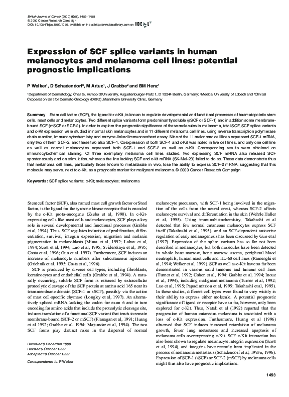 (PDF) Expression of SCF splice variants in human melanocytes and ...