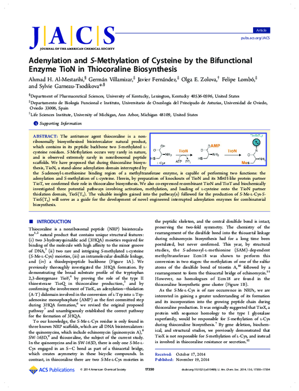 (PDF) Adenylation and S-Methylation of Cysteine by the Bifunctional ...
