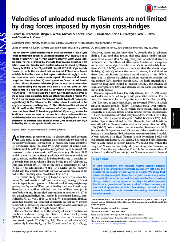 (PDF) Velocities of unloaded muscle filaments are not limited by drag ...
