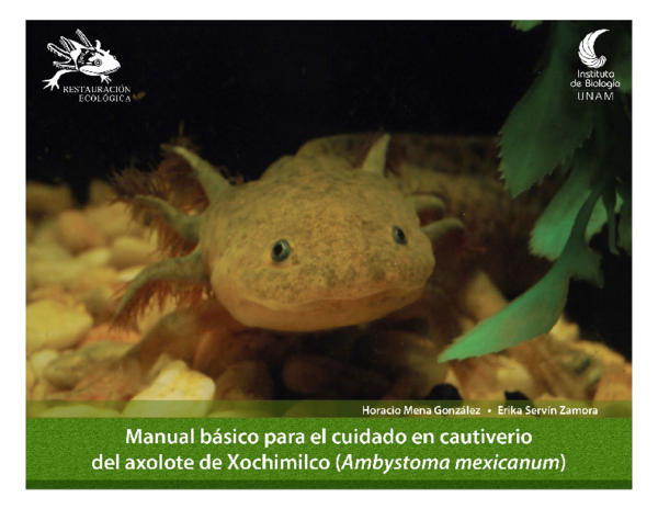 (PDF) Manual básico para el cuidado en cautiverio del axolote de ...