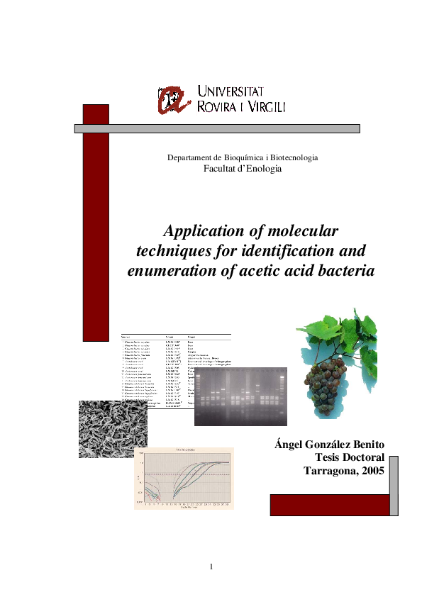 (PDF) Application of molecular methods for routine identification of ...
