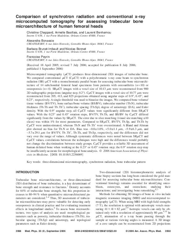 Pdf Comparison Of Synchrotron Radiation And Conventional X Ray Microcomputed Tomography For