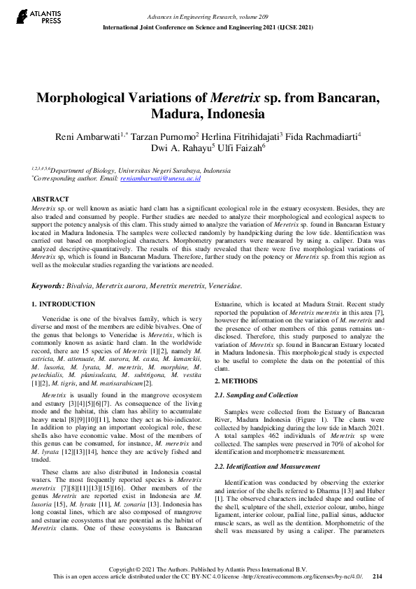 (PDF) Morphological Variations of Meretrix sp. from Bancaran, Madura ...