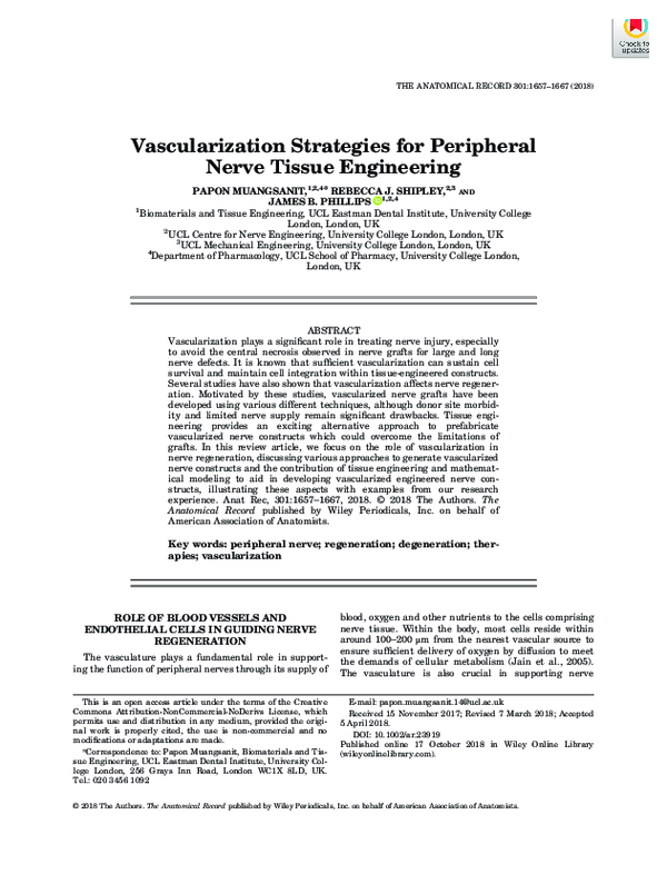(PDF) Vascularization Strategies for Peripheral Nerve Tissue Engineering