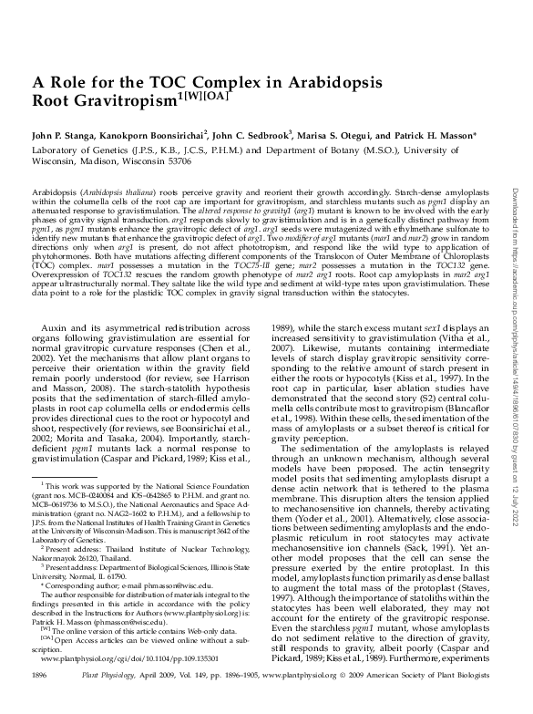 (PDF) A Role for the TOC Complex in Arabidopsis Root Gravitropism