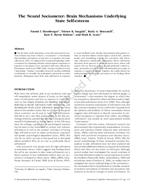 (PDF) The Neural Sociometer: Brain Mechanisms Underlying State Self-esteem