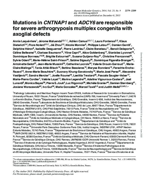(PDF) Mutations in CNTNAP1 and ADCY6 are responsible for severe arthrogryposis multiplex ...