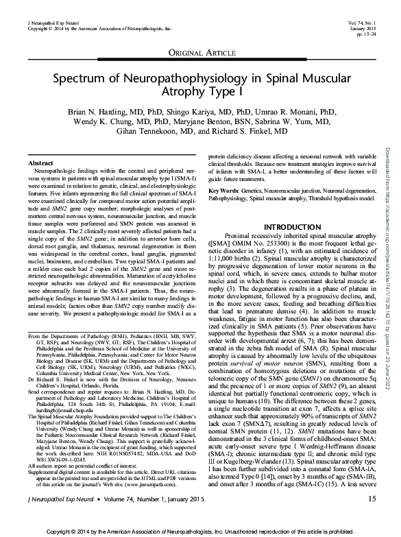 (PDF) Spectrum of Neuropathophysiology in Spinal Muscular Atrophy Type I