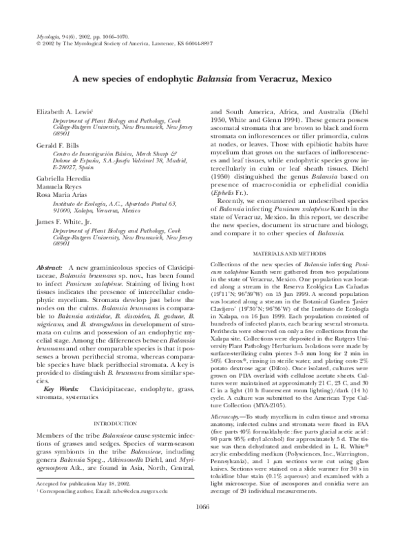 (PDF) A New Species of Endophytic Balansia from Veracruz, Mexico