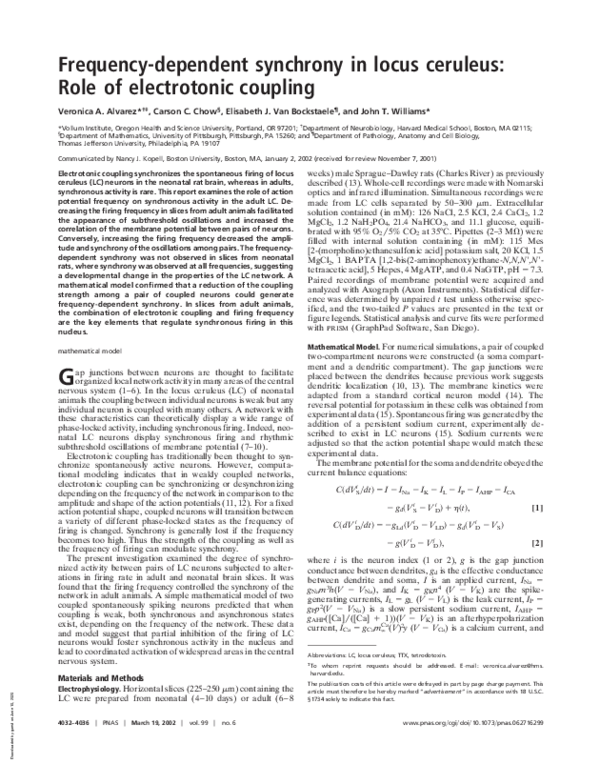 (PDF) Frequency-dependent synchrony in locus ceruleus: Role of ...