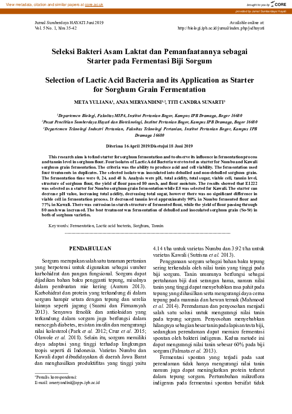 (PDF) Seleksi Bakteri Asam Laktat dan Pemanfaatannya sebagai Starter pada Fermentasi Biji Sorgum
