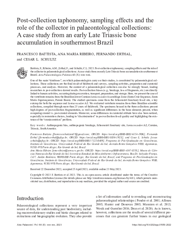 (PDF) Post-collection taphonomy, sampling effects and the role of the ...