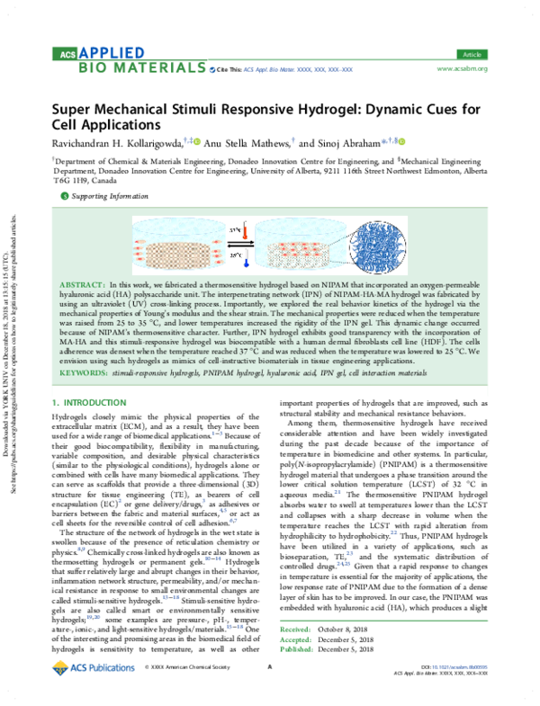 (PDF) Super Mechanical Stimuli Responsive Hydrogel: Dynamic Cues for Cell Applications