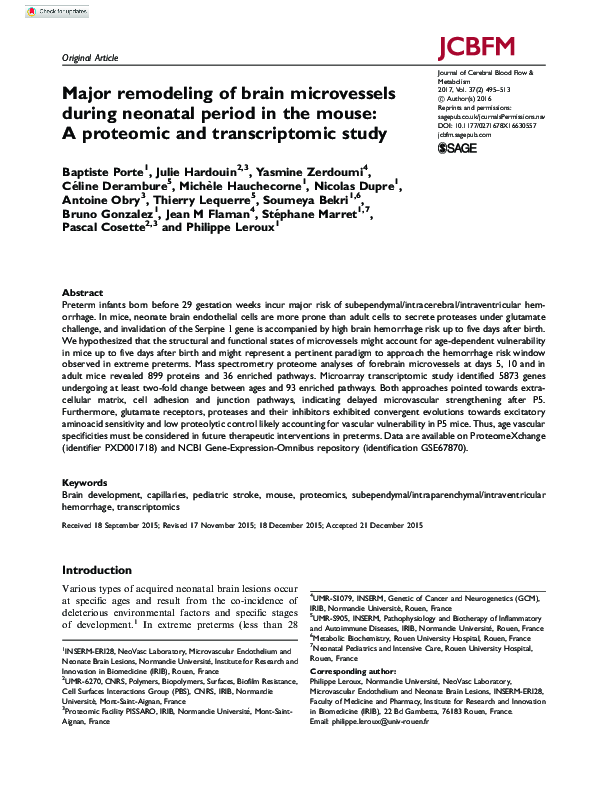(PDF) Major remodeling of brain microvessels during neonatal period in ...