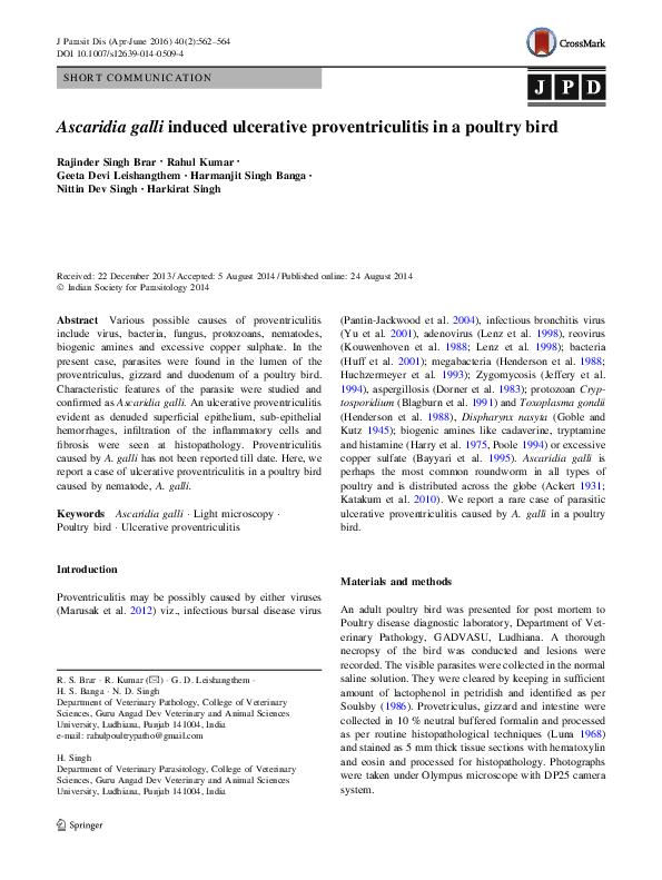 (PDF) Ascaridia galli induced ulcerative proventriculitis in a poultry bird
