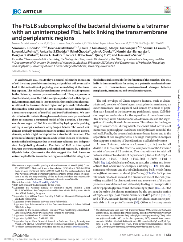 (PDF) The FtsLB subcomplex of the bacterial divisome is a tetramer with ...