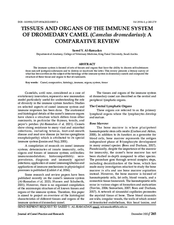 (PDF) Tissues and Organs of the Immune System of Dromedary Camel ...