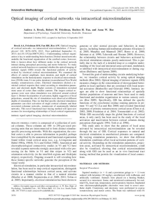 (PDF) Optical imaging of cortical networks via intracortical ...