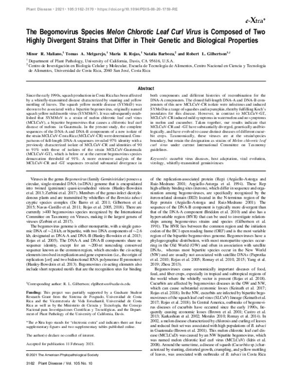 (PDF) The Begomovirus Species Melon Chlorotic Leaf Curl Virus is ...