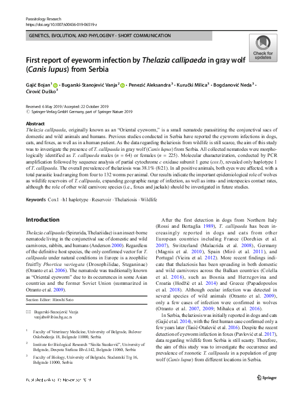(PDF) First report of eyeworm infection by Thelazia callipaeda in gray ...