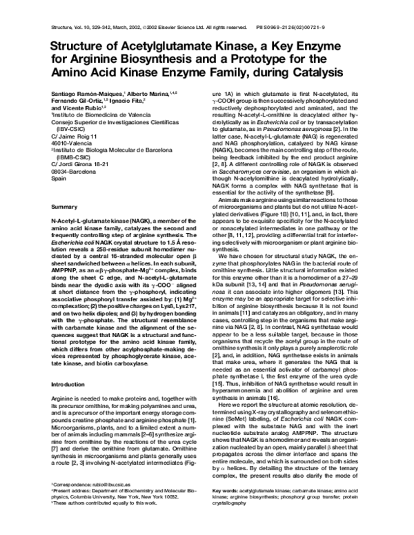 (PDF) Structure of Acetylglutamate Kinase, a Key Enzyme for Arginine ...