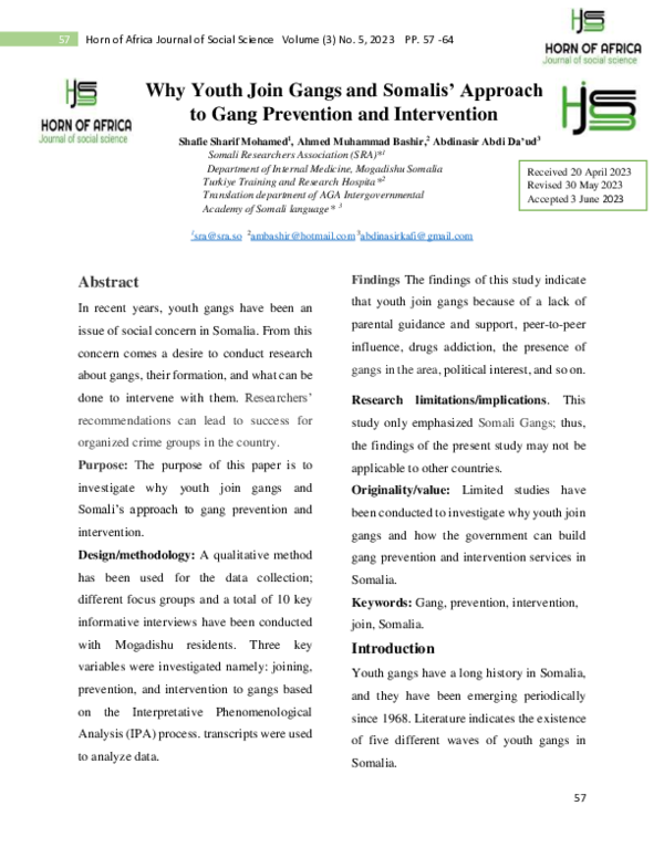 (PDF) Why Youth Join Gangs and Somalis' Approach to Gang Prevention and ...