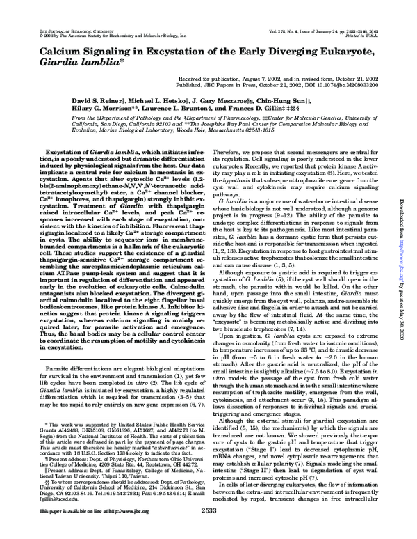 (PDF) Calcium Signaling in Excystation of the Early Diverging Eukaryote ...