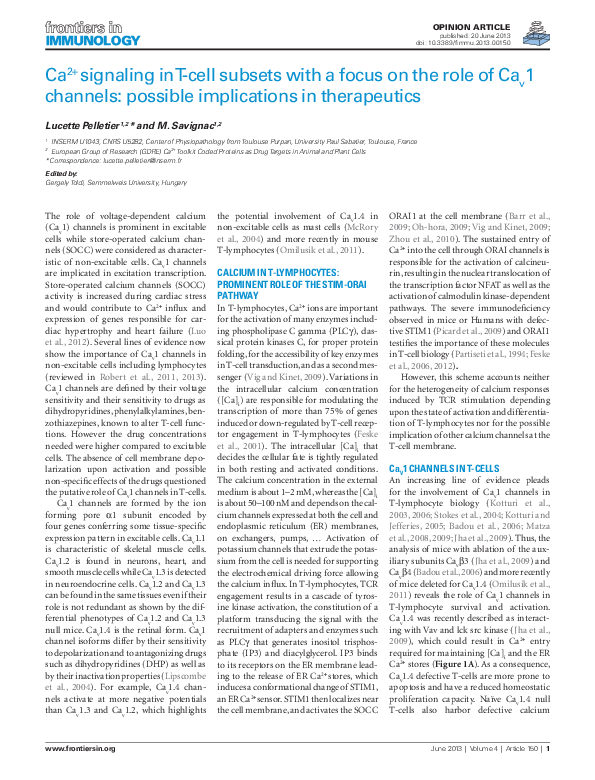 (PDF) Ca(2+) signaling in T-cell subsets with a focus on the role of cav1 channels: possible ...