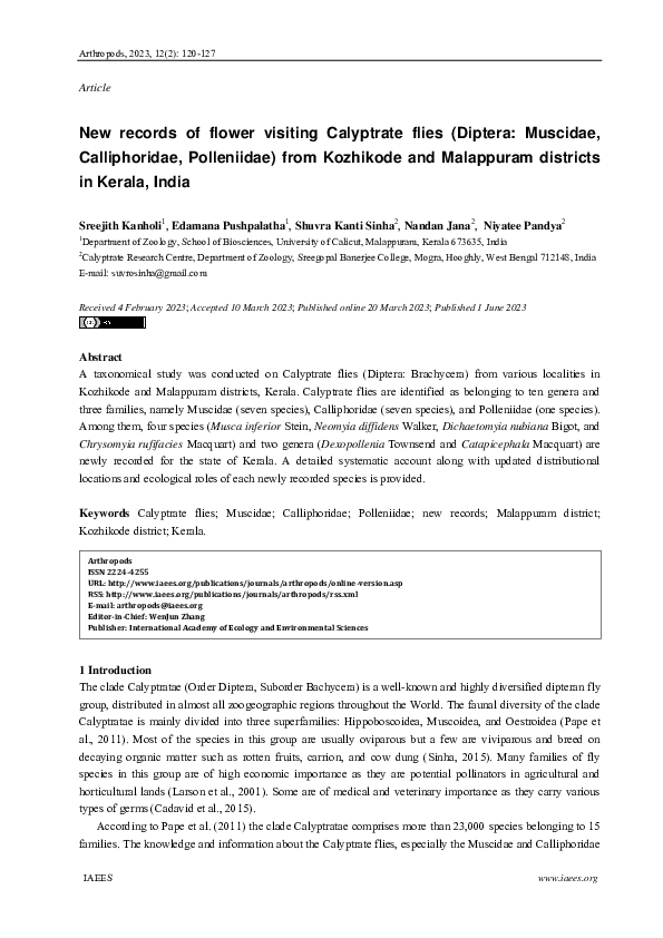 (PDF) New records of flower visiting Calyptrate flies (Diptera ...