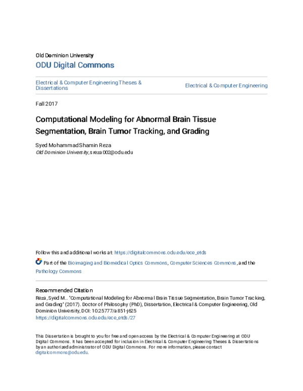 Pdf Computational Modeling For Abnormal Brain Tissue Segmentation