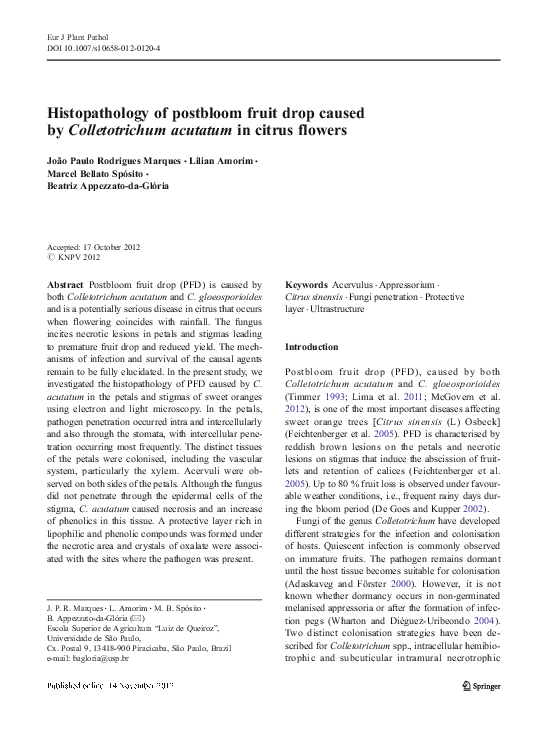(PDF) Histopathology of postbloom fruit drop caused by Colletotrichum ...