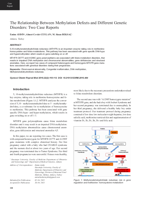(PDF) The Relationship Between Methylation Defects and Different ...