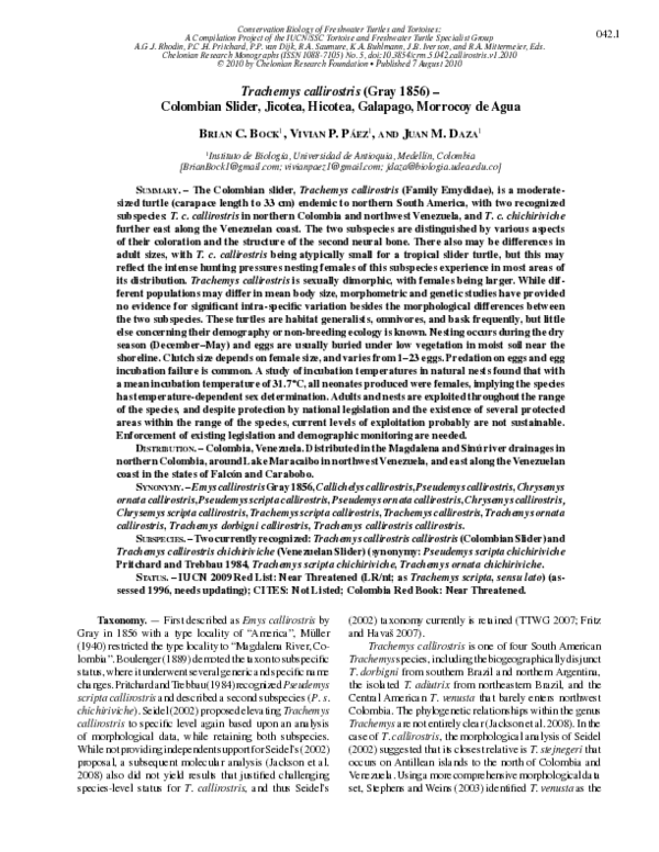 (PDF) Trachemys callirostris (Gray 1856) – Colombian Slider, Jicotea ...