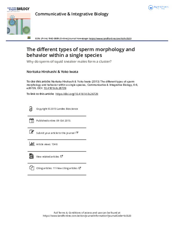 (PDF) The different types of sperm morphology and behavior within a ...