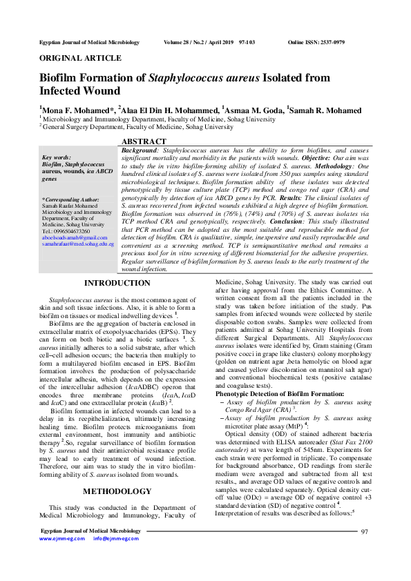 (PDF) Biofilm Formation of Staphylococcus aureus Isolated from Infected Wound