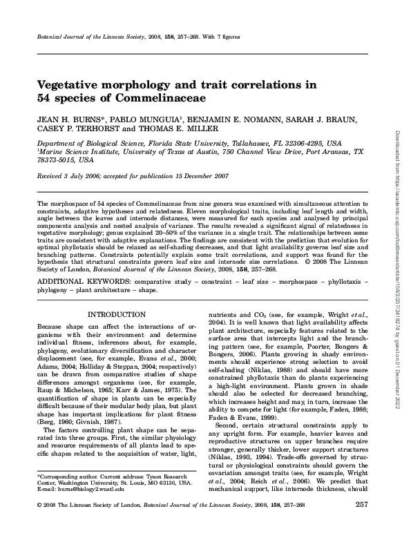 (PDF) Vegetative morphology and trait correlations in 54 species of Commelinaceae