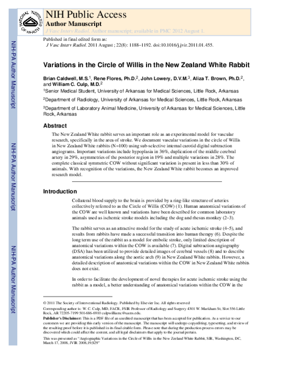 (PDF) Variations in the Circle of Willis in the New Zealand White Rabbit
