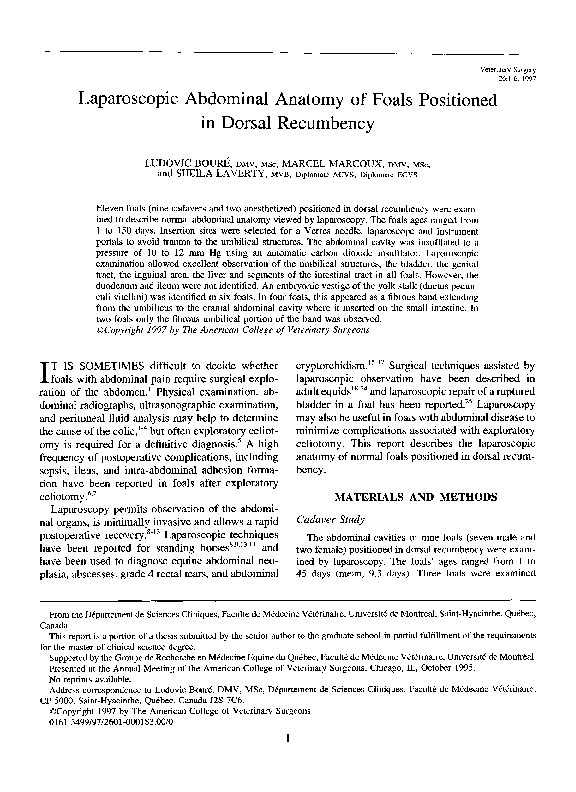 (PDF) Laparoscopic Abdominal Anatomy of Foals Positioned in Dorsal ...