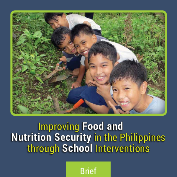 (PDF) Improving food and nutrition security in the Philippines through ...