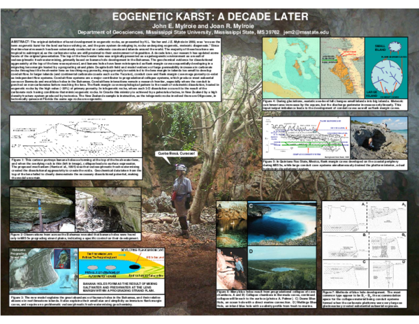 (PDF) Eogenetic Karst: A Decade Later