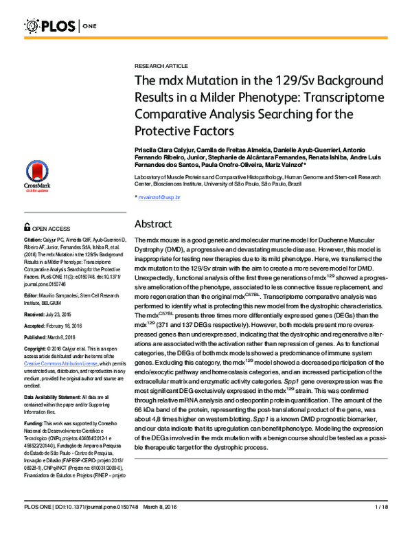 (PDF) The mdx mutation in the 129/Sv background results in a milder ...