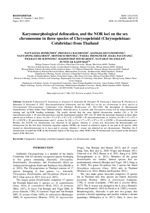 (PDF) Karyomorphological delineation, and the NOR loci on the sex ...