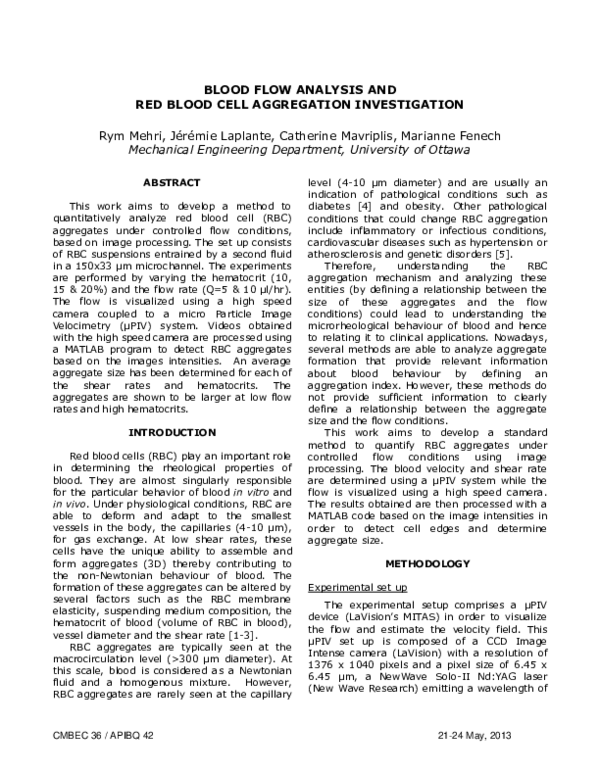 (PDF) Blood Flow Analysis and Red Blood Cell Aggregation Investigation