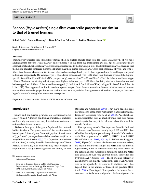 (PDF) Baboon (Papio ursinus) single fibre contractile properties are ...