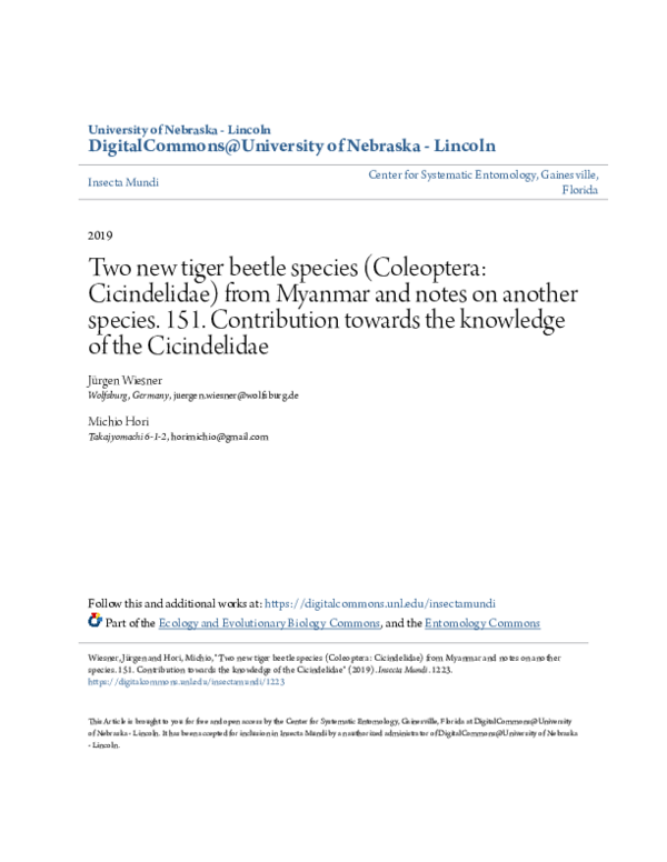 (PDF) Two new tiger beetle species (Coleoptera: Cicindelidae) from ...