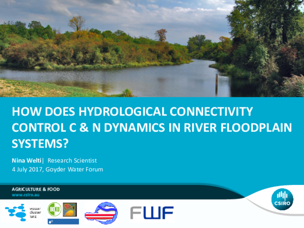 (PDF) How Does Hydrological Connectivity Control C & N Dynamics in ...
