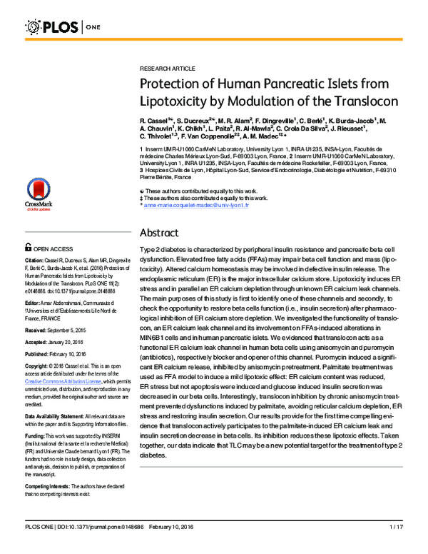 (PDF) Protection of Human Pancreatic Islets from Lipotoxicity by ...