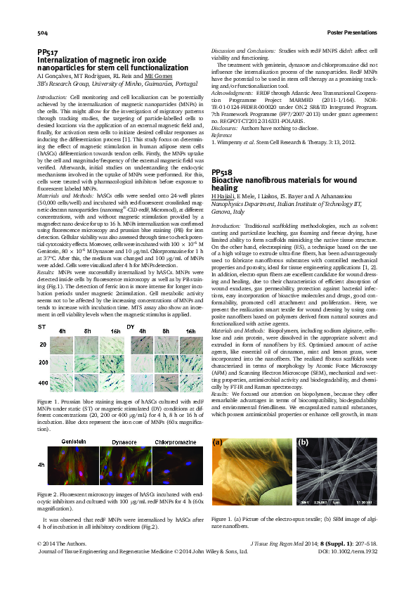 (PDF) Internalization of magnetic iron oxide nanoparticles for stem ...