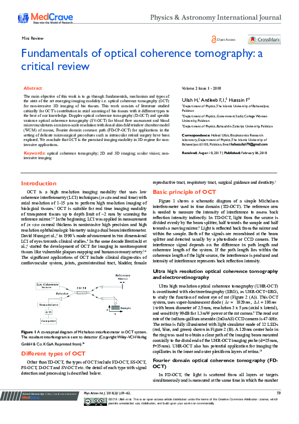 (PDF) Fundamentals of optical coherence tomography: a critical review